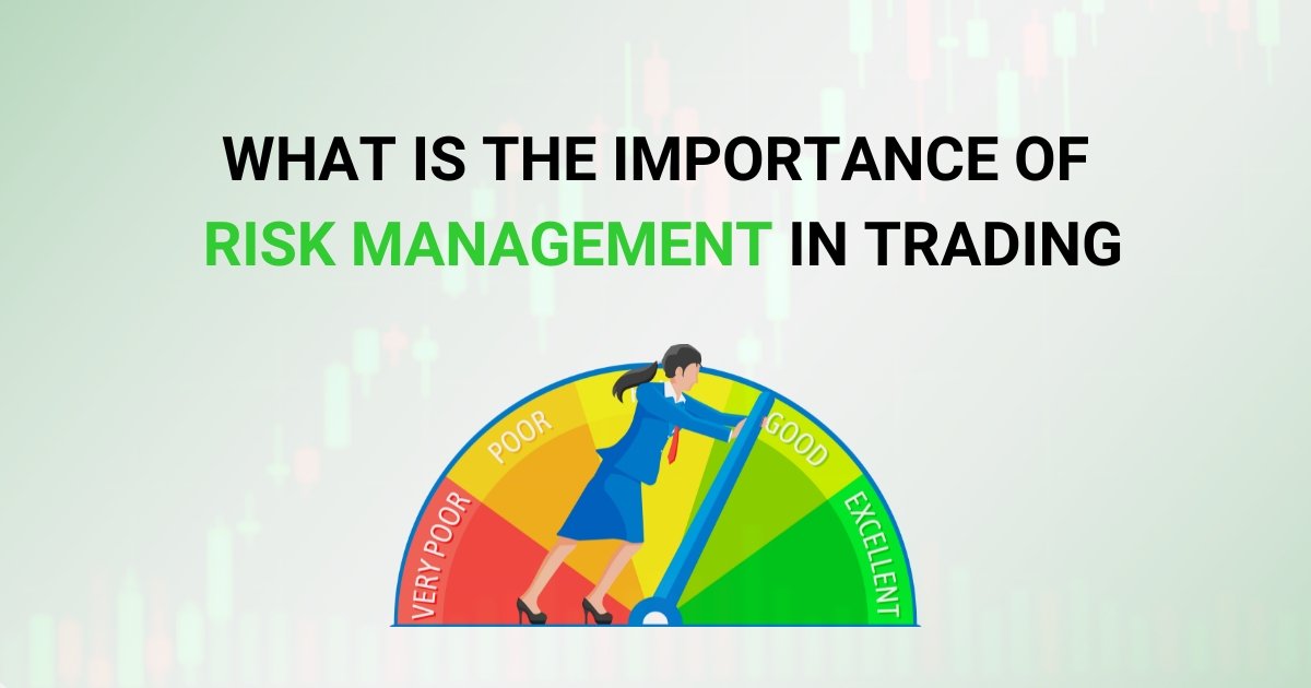 What Is the Importance of Risk Management in Trading? - Green Candle ...